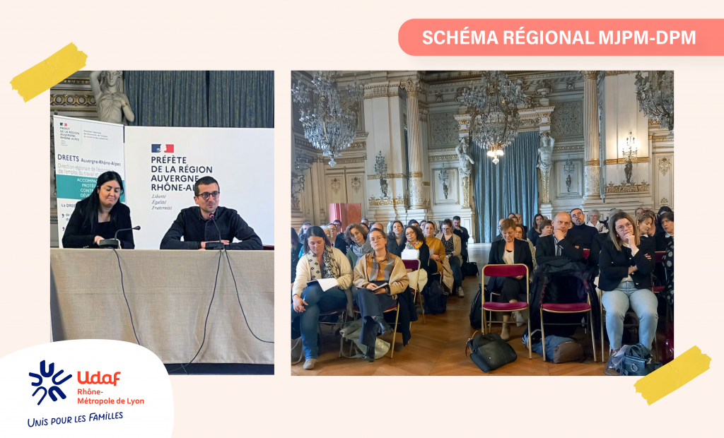 Participation à la Journée de présentation du Schéma Régional MDJPM-DPF ...